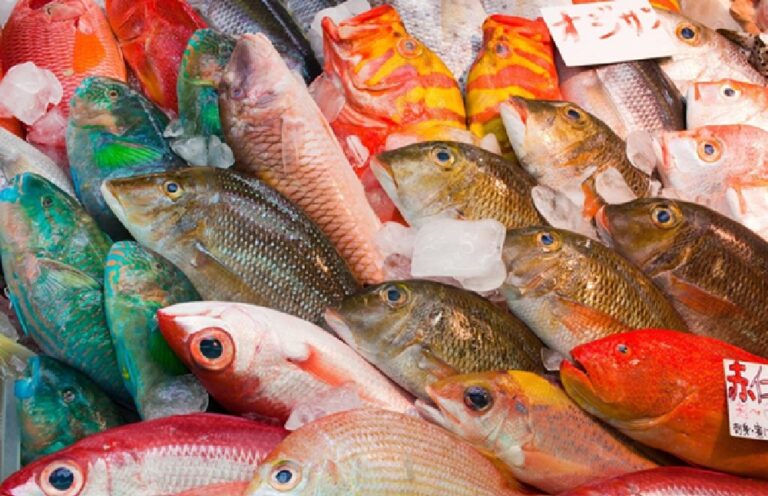 Best Practices for Storing Fish in Cold Rooms: Temperature Control and ...